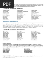 30 Ejemplos de Modismos Explicados | PDF | Artes del Lenguaje y ...