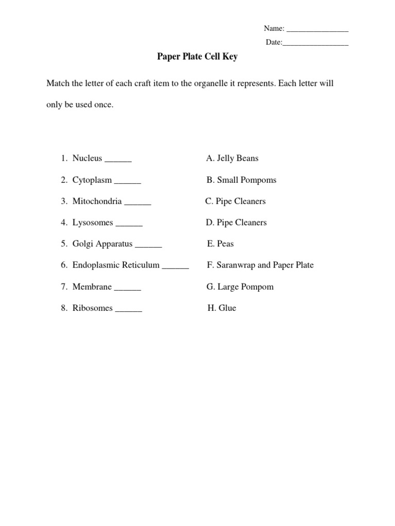 Paper Plate Cell Key | PDF