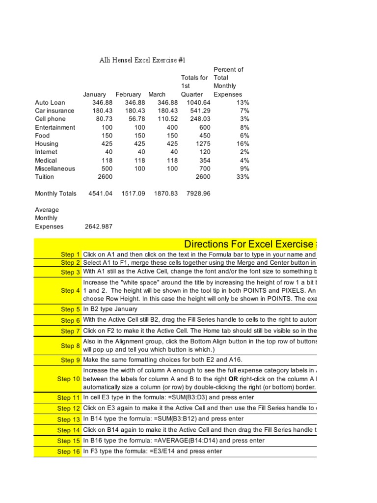 Excel Exercise 1 | PDF | Microsoft Excel | Computing