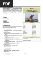 Omnívoros | PDF | Herbívoro | Alimentos
