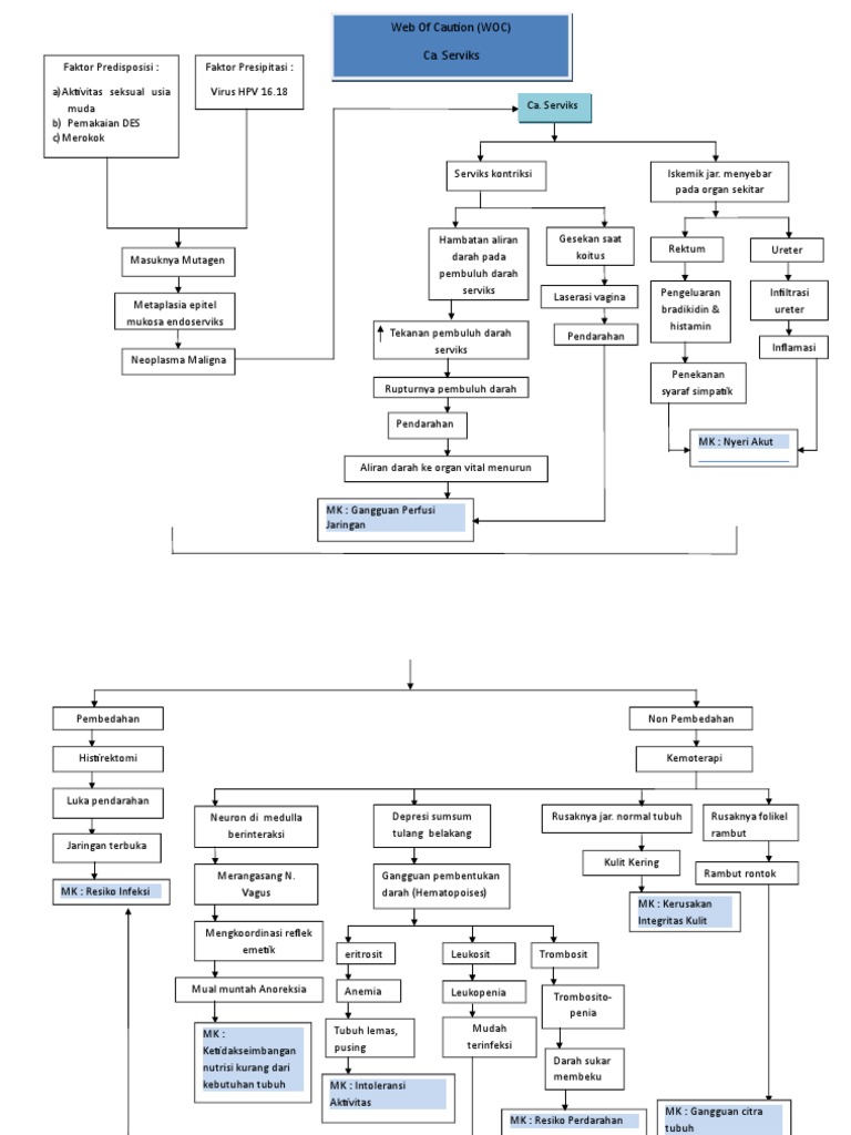 Woc CA Serviks | PDF