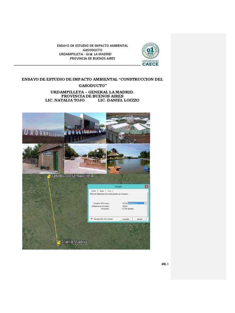 Lic. Daniel Loizzo Ensayo de EIA de Gasoducto Bs As 14-12-2015 | PDF ...