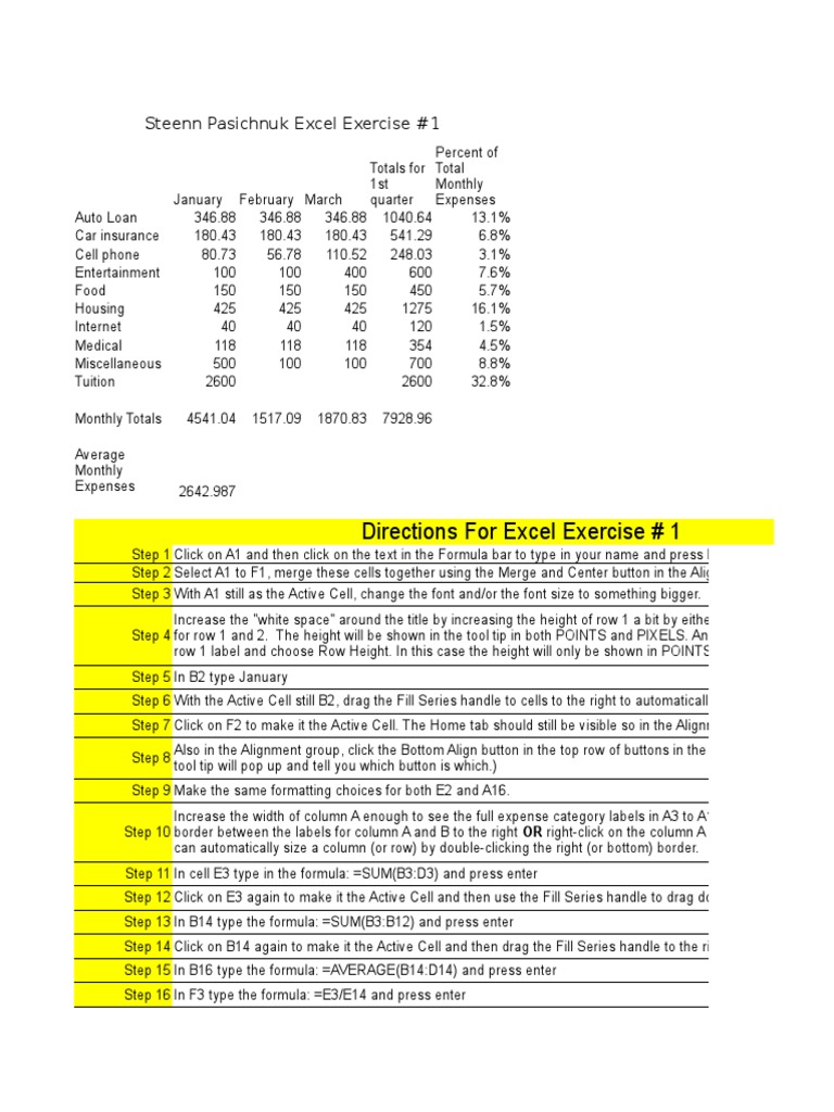 Excel Exercise 1 | PDF | Microsoft Excel | Computing