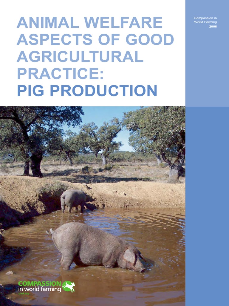Gap Pig Book Full | PDF | Domestic Pig | Animal Welfare