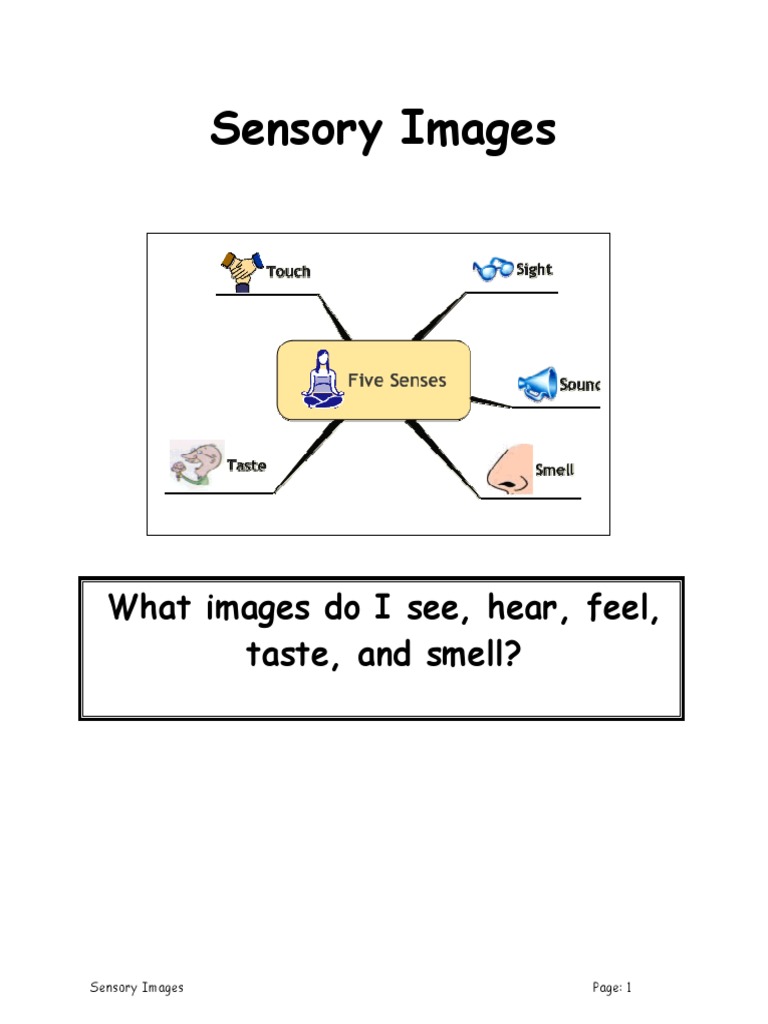 Unit of Study - Sensory Images | PDF | Senses | Reading Comprehension