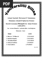 Kitaaba Seenaa Oromoo Downloads | PDF