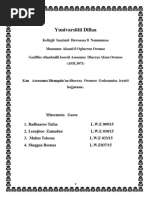 Kitaaba Seenaa Oromoo Downloads | PDF