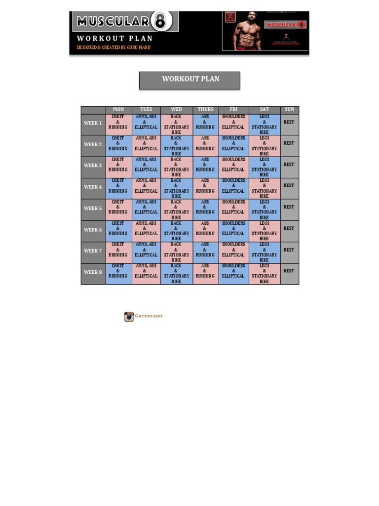 Muscular 8 Workout Plan | PDF