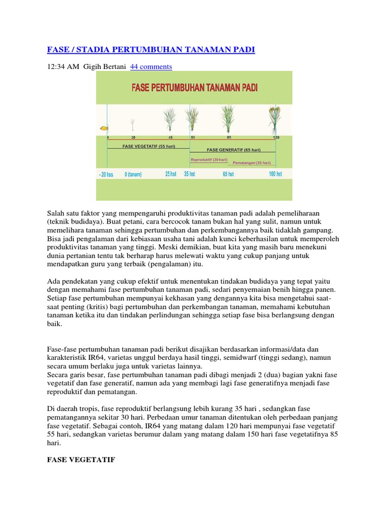 46+ Gambar Fase Pertumbuhan Tanaman Padi Kekinian - Informasi Seputar ...