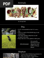 Mammals 2 | PDF | Beaver | Raccoon