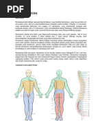 DERMATOME | PDF