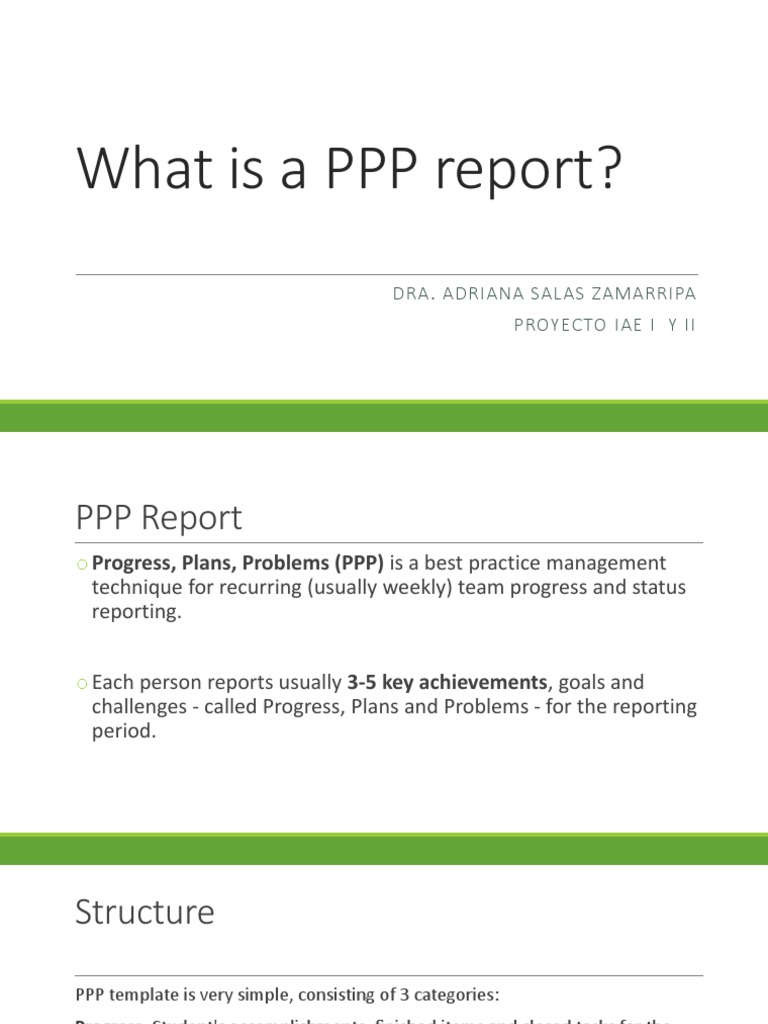 What is a PPP Report