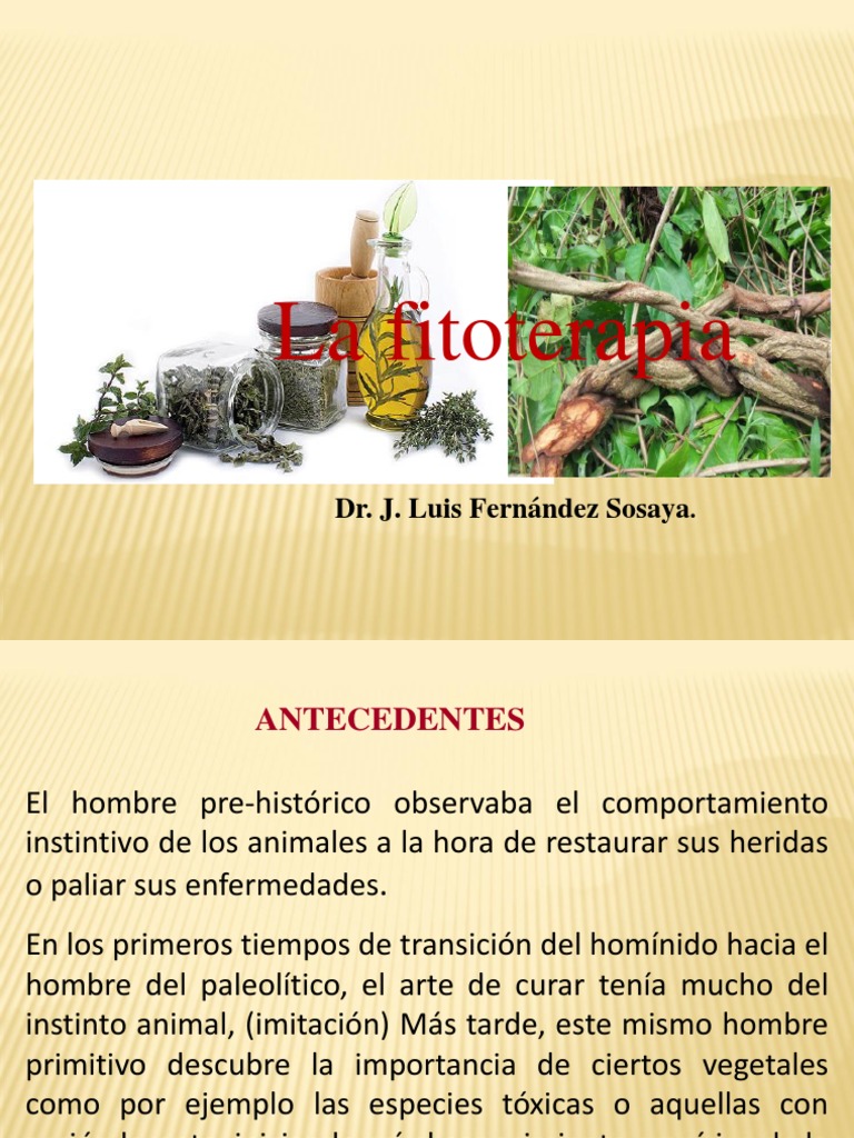 Fito Examen Completo | PDF | Plantas medicinales | Medicina