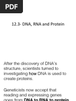 5 Second Rule Lab Write Up | PDF | Experiment | Scientific Method