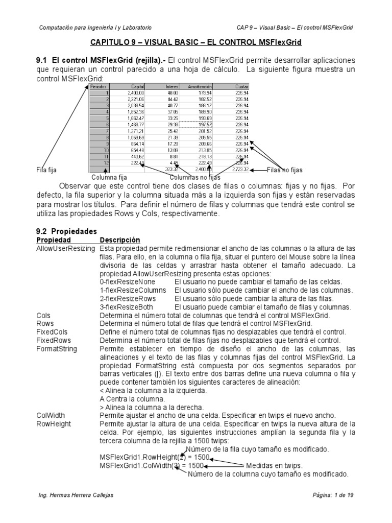 Capítulo 9 Vs Basic - El Control MSFlexGrid | PDF | Programa de computadora | Programación
