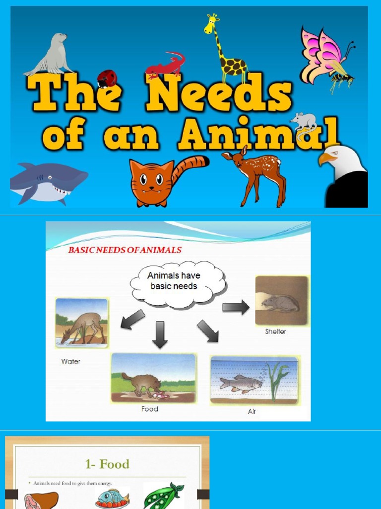 Science Basic Needs of Animals | PDF | Wellness