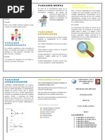 Mapa Mental Experimento | PDF
