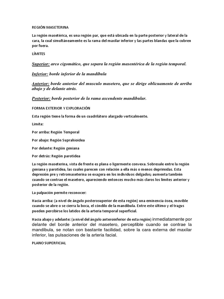 Región Maseterina | PDF