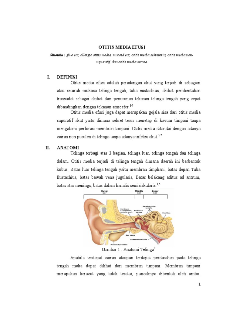 Referat Otitis Media Efusi | PDF