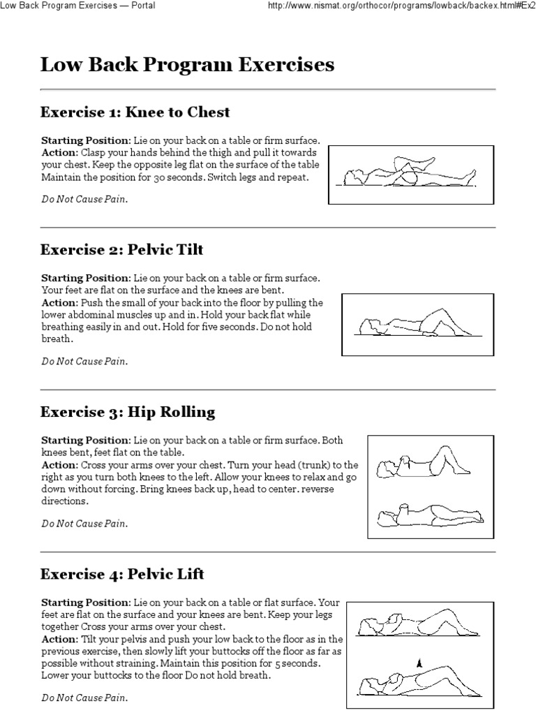 Low Back Program Exercises | PDF | Anatomical Terms Of Motion | Elbow