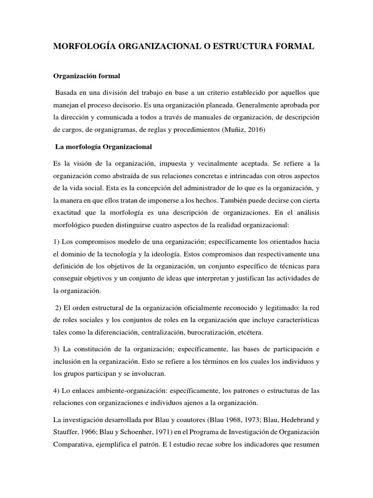 Morfología Organizaciona o Estructura Formal | PDF | Poder (social y ...
