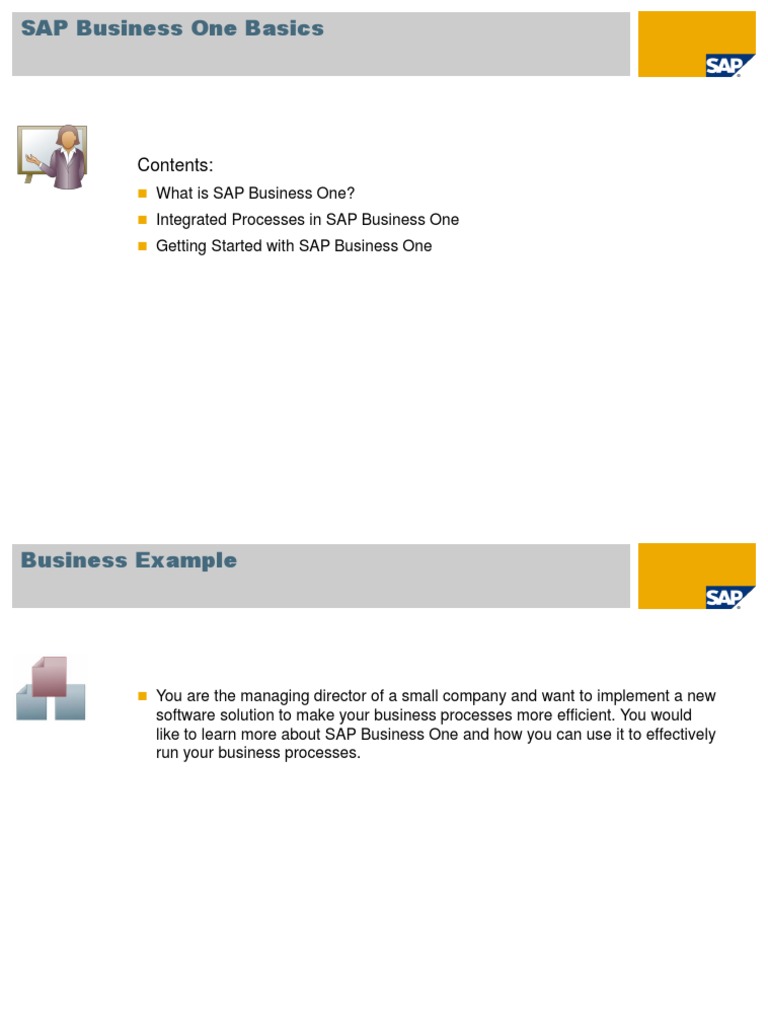 Sap Business One Basics | PDF | Sap Se | Enterprise Resource Planning