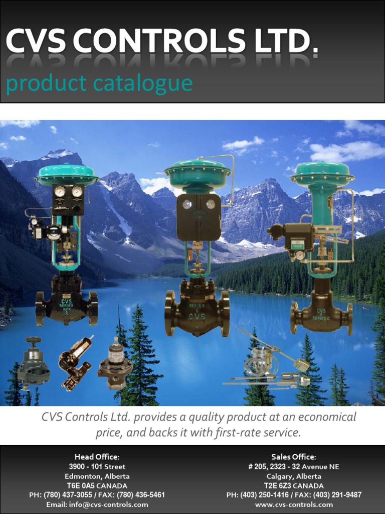 CVS Control Valve | PDF | Valve | Actuator