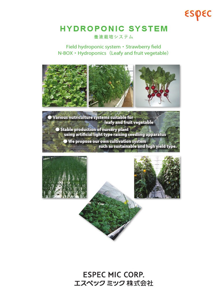 Eng Hydroponic System | Download Free PDF | Hydroponics | Vegetables