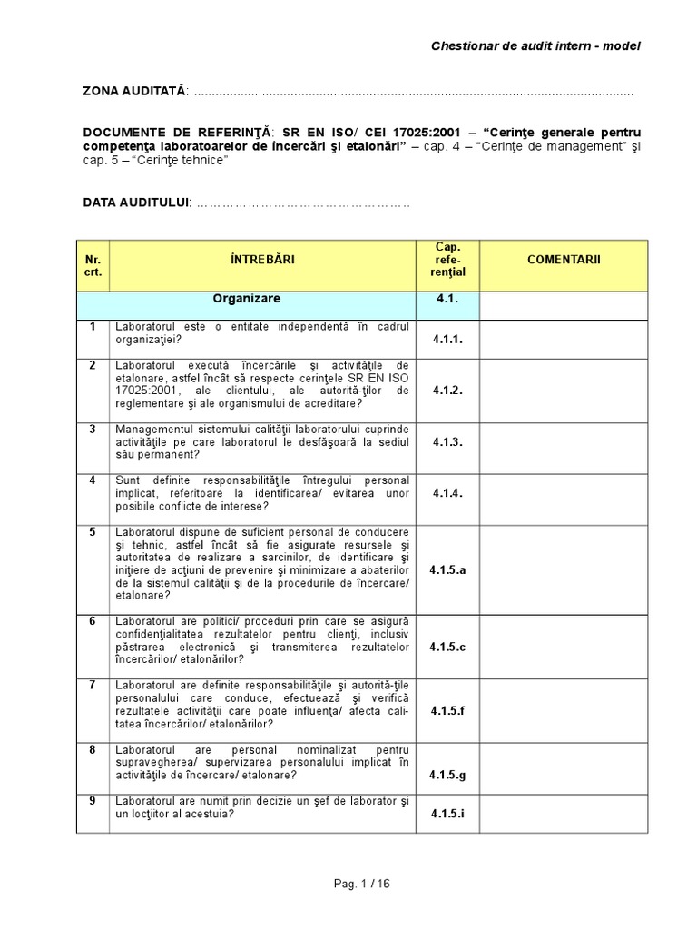 Chestionar Audit Intern MODEL
