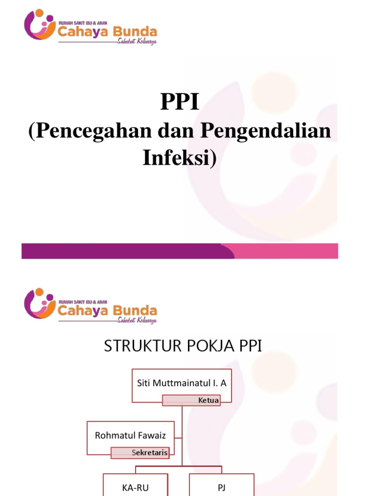 Presentasi Ppi | PDF