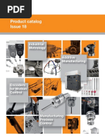 Onion Reflection Model | PDF | Behavior | Identity (Social Science)