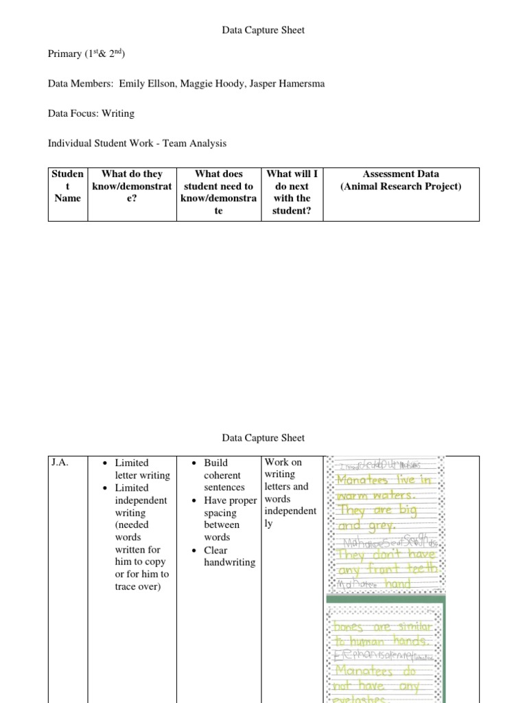 Data Capture Sheet Primary (1 & 2) | PDF | Semiotics | Cognition