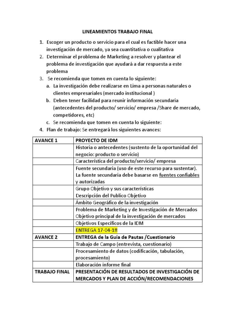 Lineamientos Trabajo Final | PDF | Informática