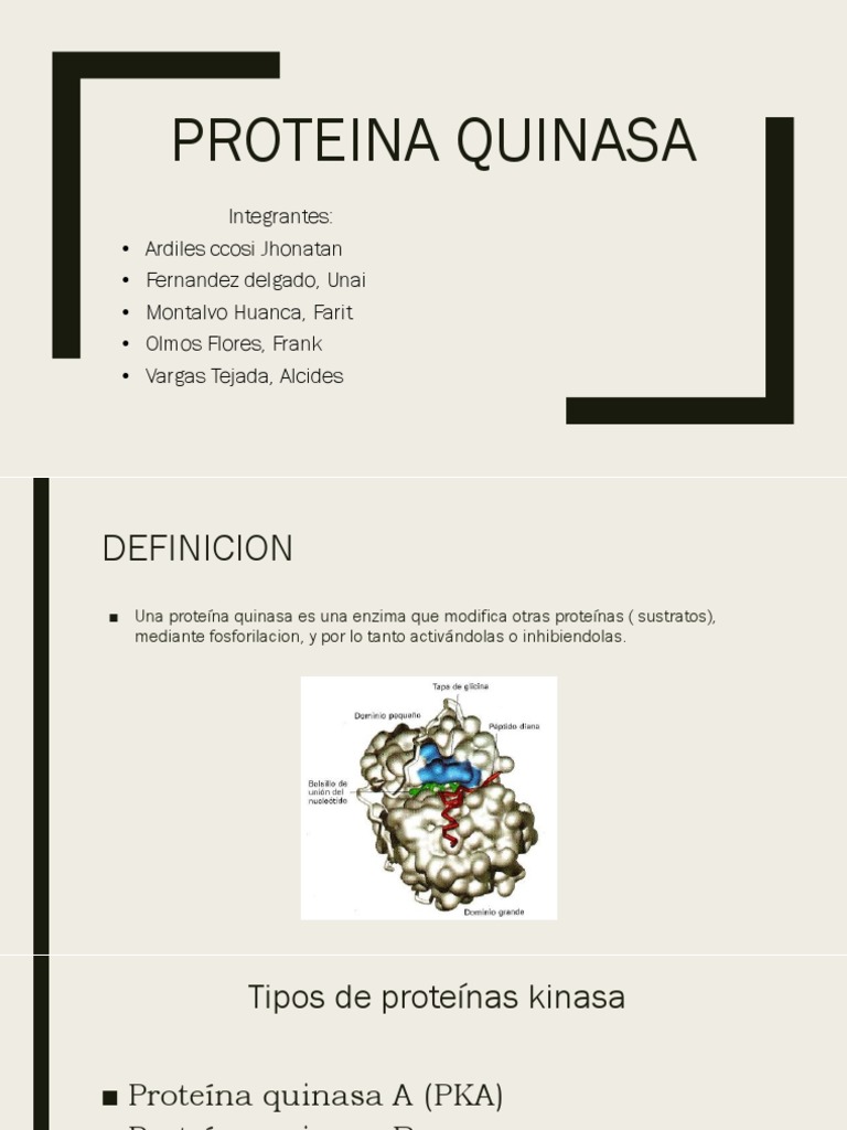 Grupo 1 Kinasa Ampc | PDF | Bioquímica | Química