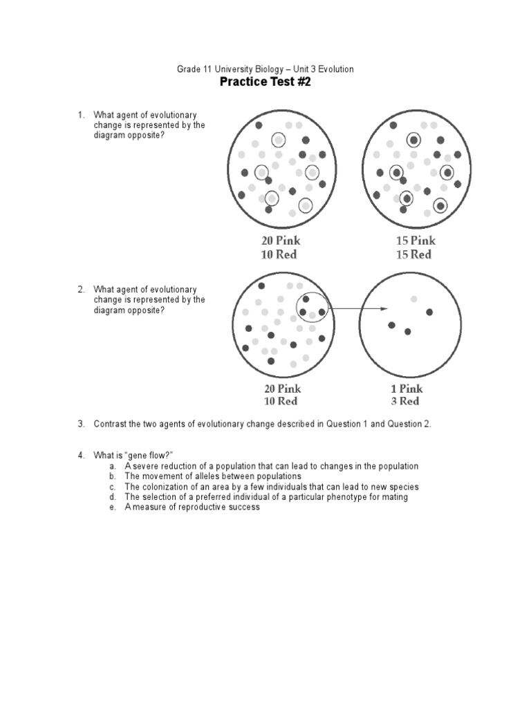 Unit 3 Grade 11 Biology | PDF | Natural Selection | Evolution