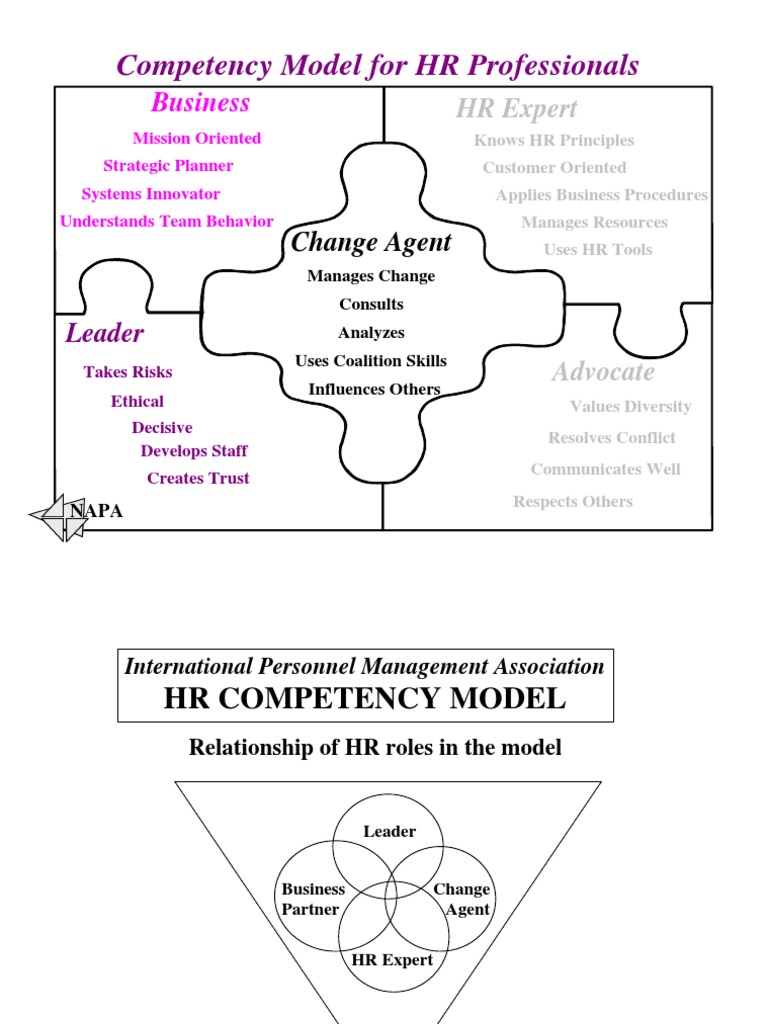 Competency Model For HR Professionals | PDF | Competence (Human ...