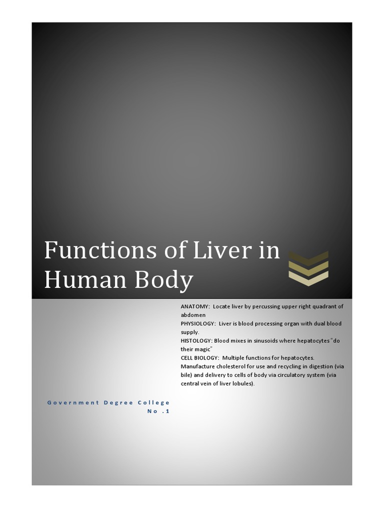 Liver Functions for Medical Students | PDF | Liver | Human Body