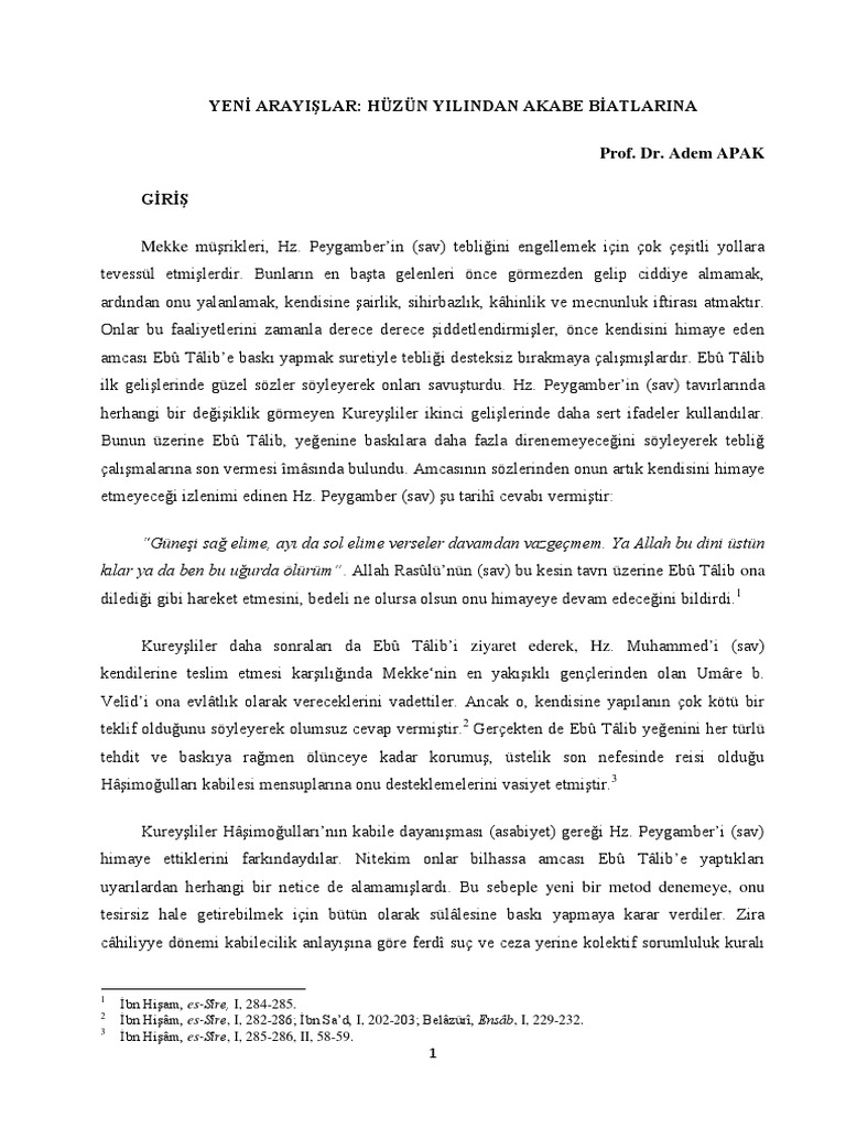 Prof DR Adem Apak | PDF