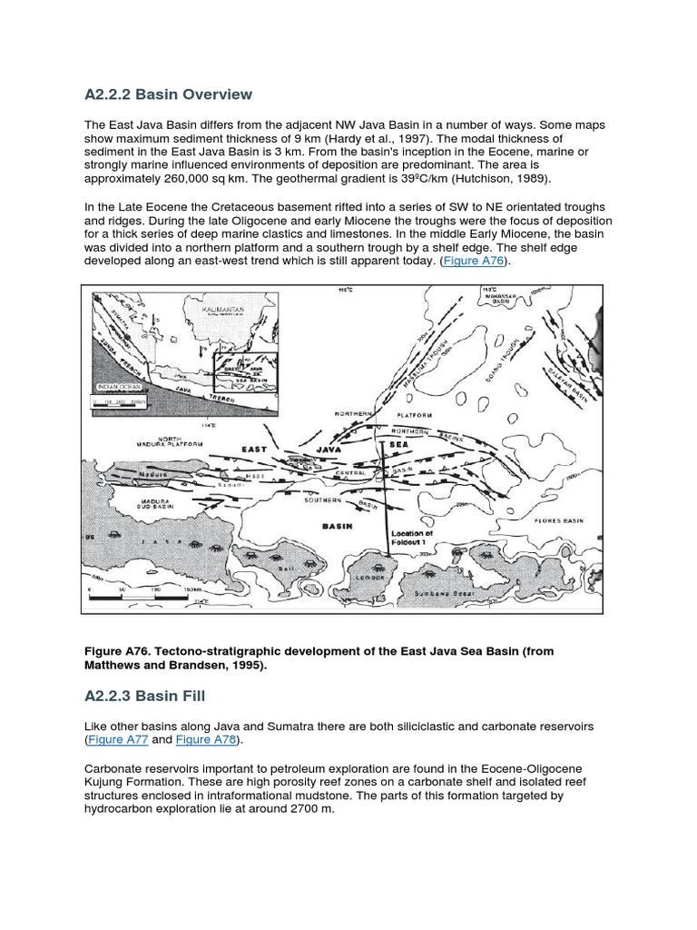 Basin East Java | PDF | Sedimentary Basin | Petroleum Reservoir