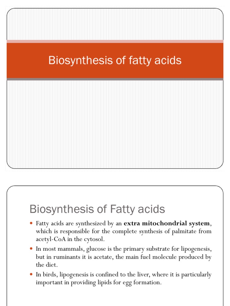 Bio Synthesis of Fatty Acids | PDF | Metabolism | Biochemistry
