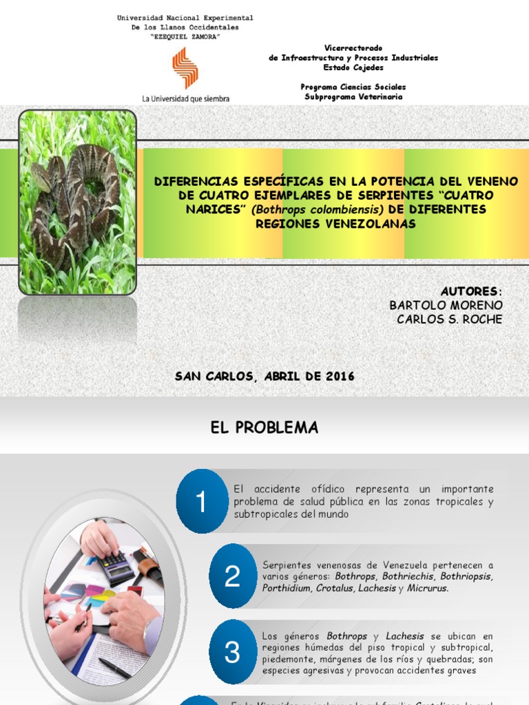 Potencia del Veneno en Bothrops Colombiensis | PDF | Serpiente | Salud ...
