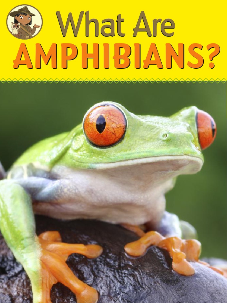 What Are Amphibians - Non-Fiction - Abcmouse Wecompress | PDF ...