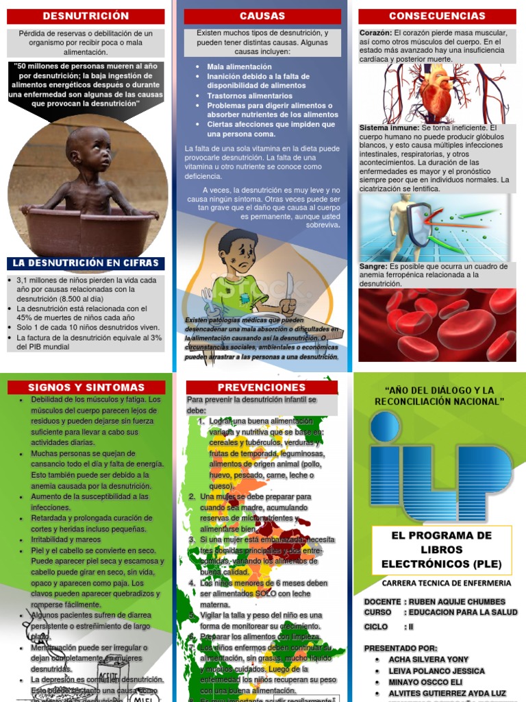 Desnutricion Triptico Pdf Alimentos Especialidades Medicas