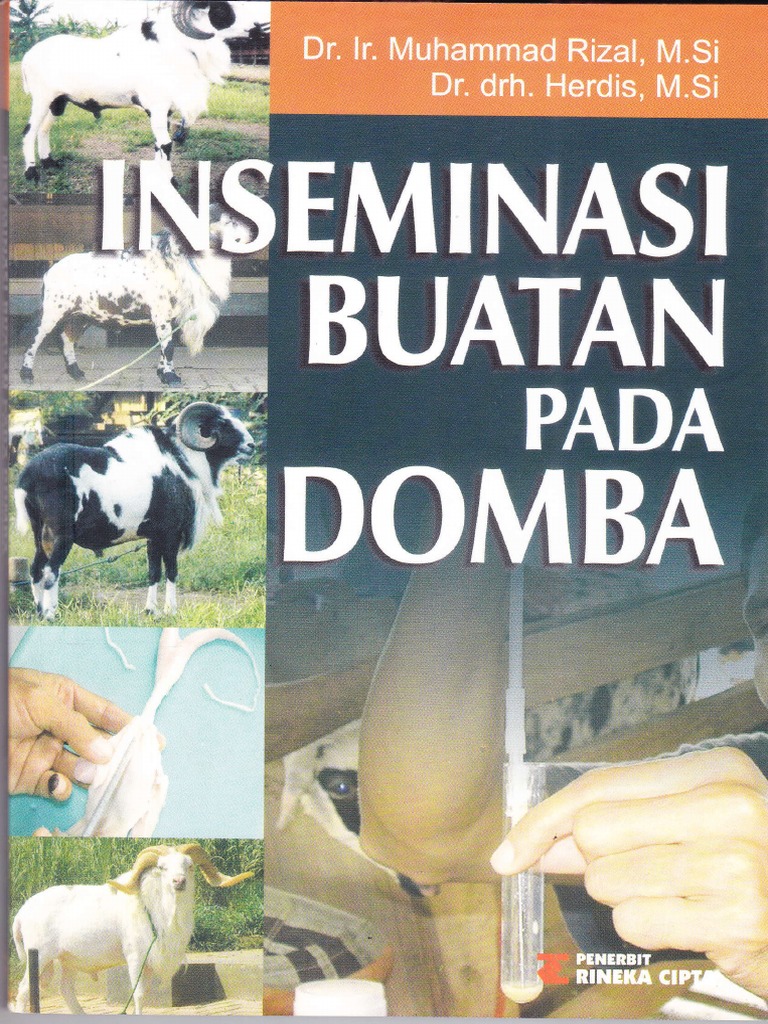 Inseminasi Buatan Pada Domba | PDF