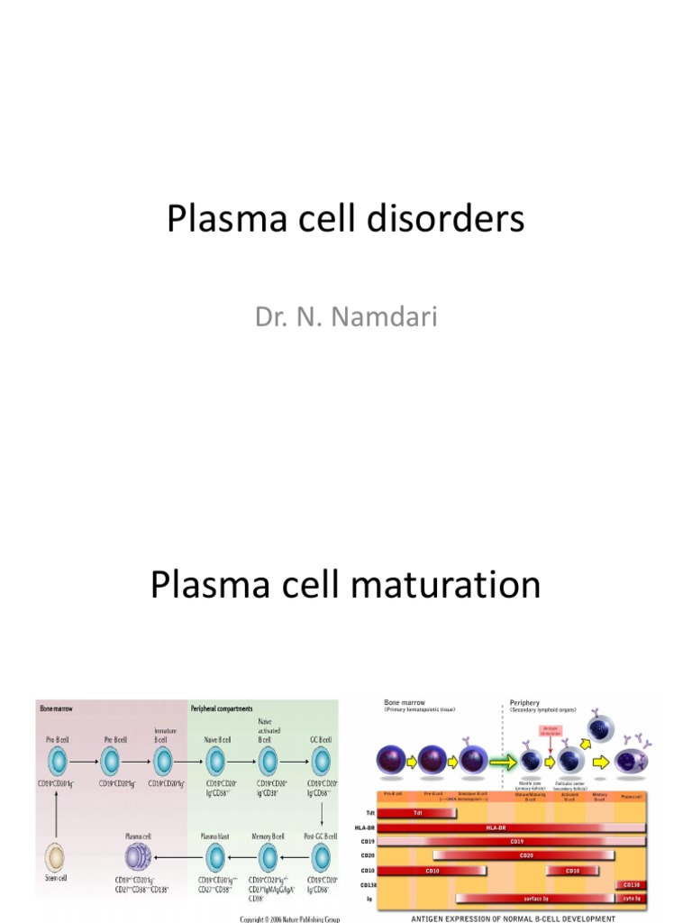 Plasma Cell Disorders | PDF | Multiple Myeloma | Medical Specialties