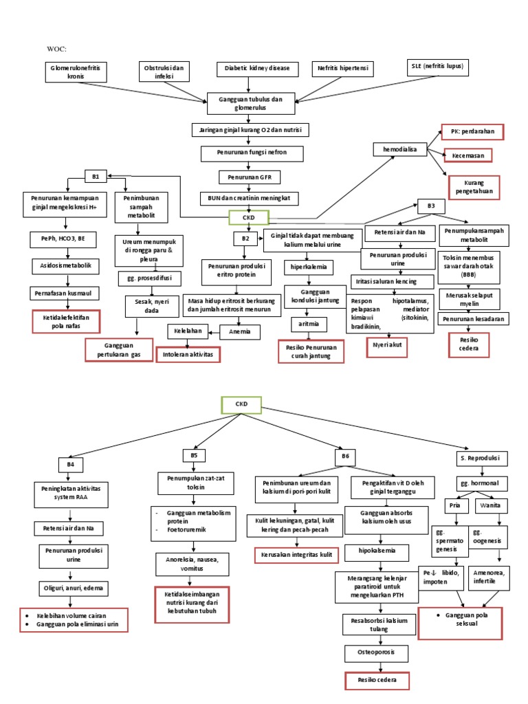 Woc CKD | PDF