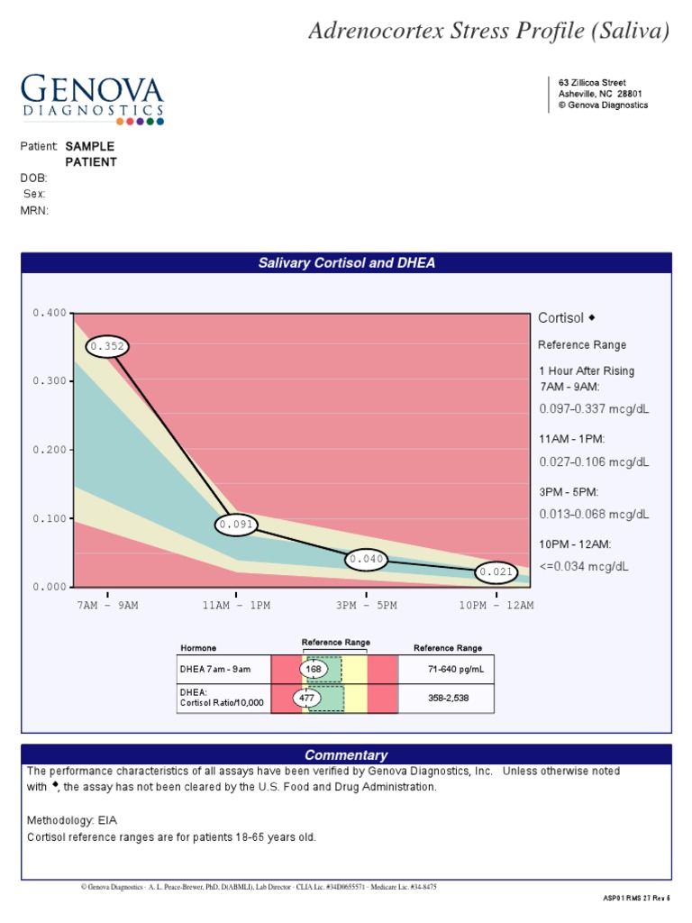Adrenocortex Sample Report | PDF | Adrenal Gland | Cortisol