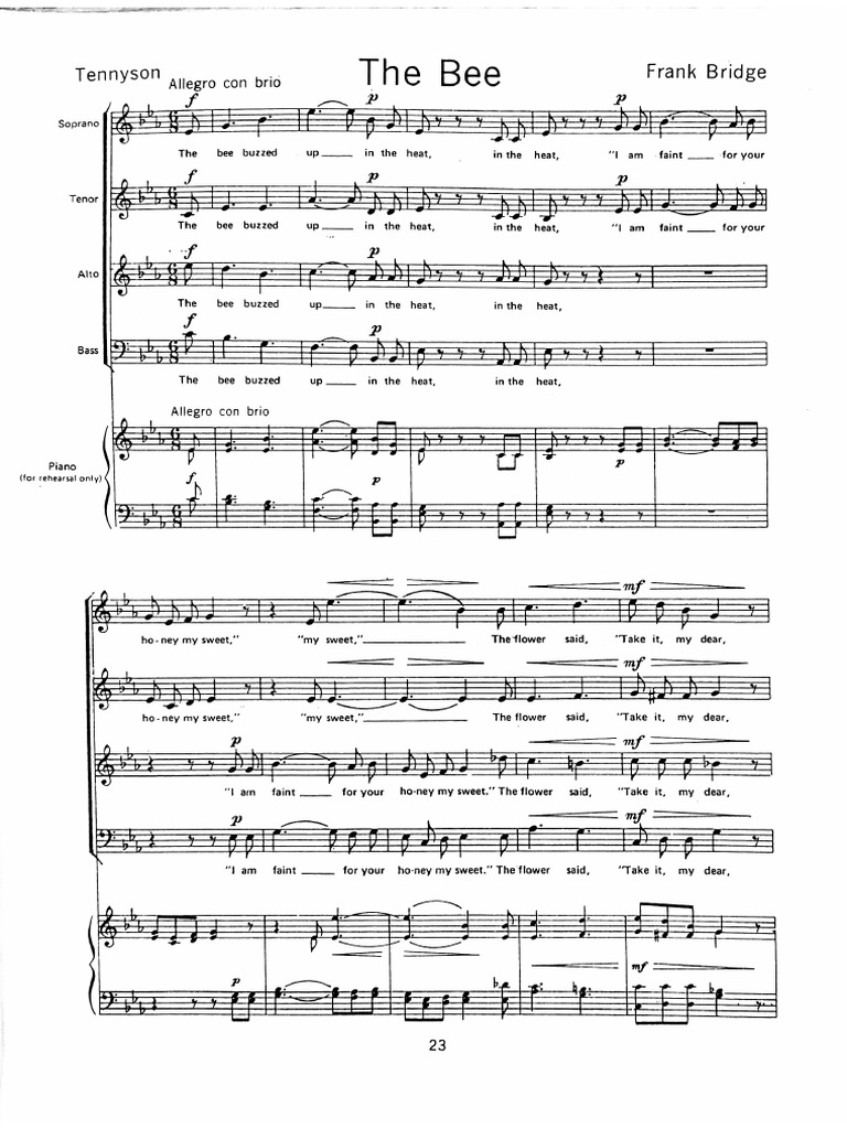 Bridge - The Bee | PDF