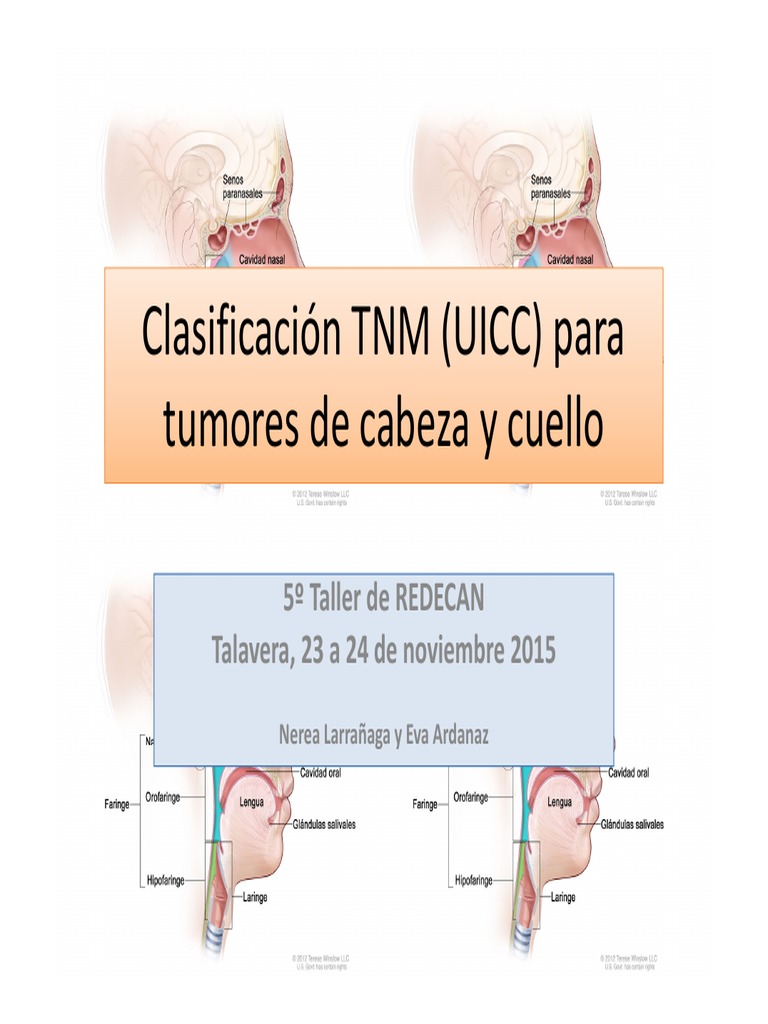 Tumores de Cuello | PDF | Cáncer | Cabeza y cuello humanos