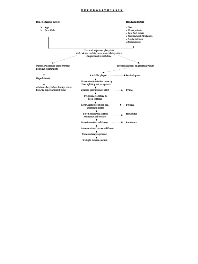 NEPHROLITHIASIS - Pathophysiology | PDF